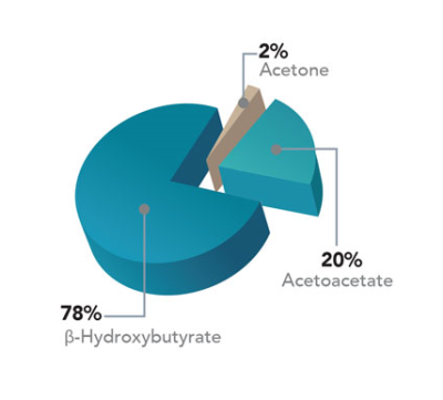 Beta-hydroxbutyrate - Vidan Diagnostics